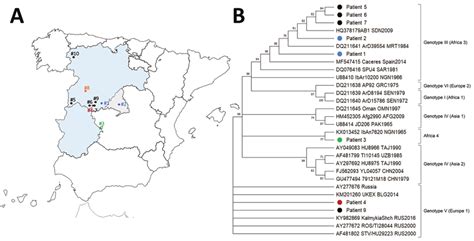 Locations Of Cchf Cases A And Phylogenetic Tree Of Cchfv B In Download Scientific Diagram