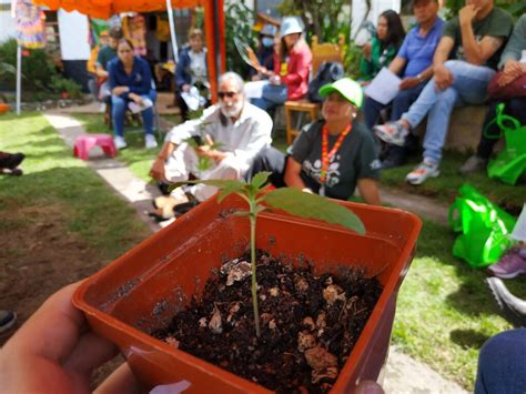 Chapinero una ruta agroecológica diversa e innovadora Jardín