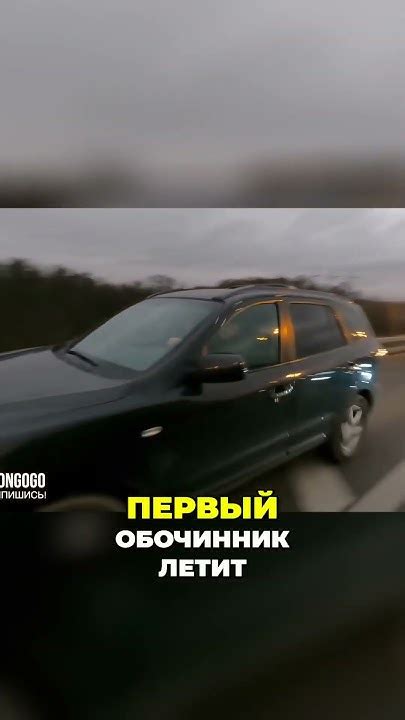 Обочечник-очкошник - решил что он умнее всех! - YouTube