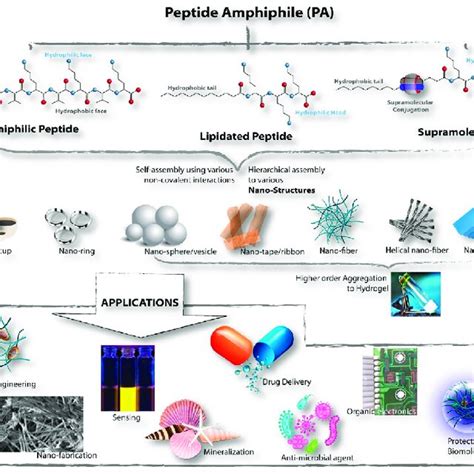 Overview Of Common Bonds That Are Used As Adhesion Junctions Adhesion Download Scientific
