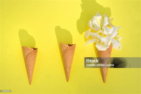 There Are Three Ice Cream Cones Lying Next To Each Other Against A