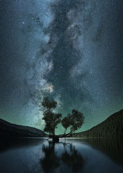 Astrophotography Wallpaperskynatureatmospherenatural Landscapetree