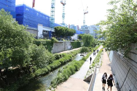 Seoul Cheonggyecheon Stream Korea Free Photo On Pixabay Pixabay