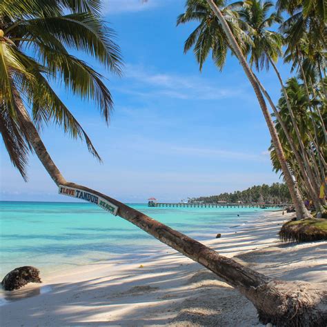 About La Turista Filipina
