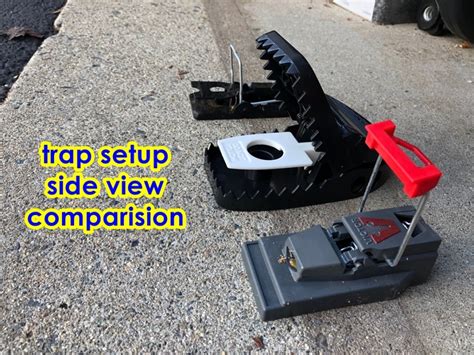 Tomcat Secure Kill Rat Trap Review And Rating