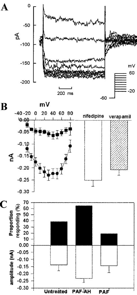 Whole Cell Patch Clamp Analysis Of 2 Cell Membranes A Representative