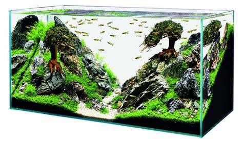 Oase ScaperLine 100 Aquarium Webshop Aquascaping Dwarf Shrimps