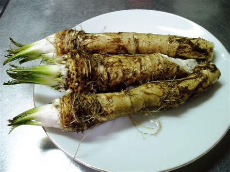 山わさびの食べ方！皮や葉はどうする？ 調味料の百科事典