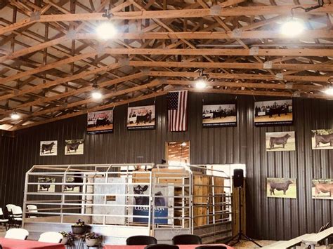 Clear Vision Production Sale By Parke Livestock DP Sales
