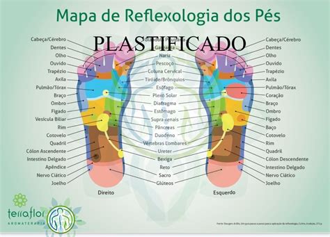 Acupuntura Mapa Reflexologia Podal