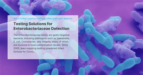 Testing Solutions For Enterobacteriaceae Detection Hygiena