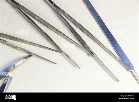 A Dissection Kit With Stainless Steel Surgical Instruments For Medical Students To Practice