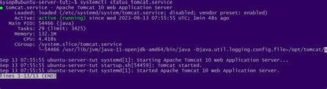 How To Install And Configure Apache Tomcat 10 On Ubuntu 2204 Format