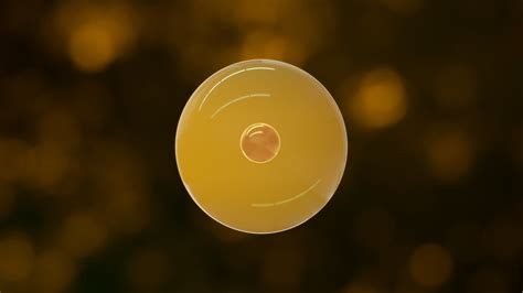 Microspore Mother Cell Microsporocyte 3d Turbosquid 2186302