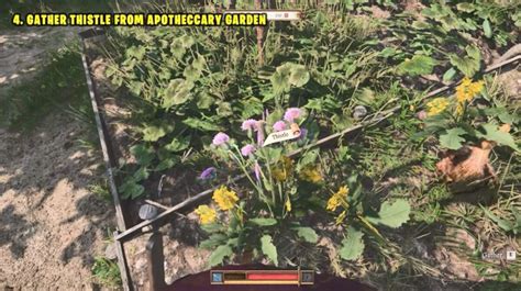 How To Brew “lullaby” Sleeping Potion Kingdom Come Deliverance Ii Kcd2 Gamerpillar