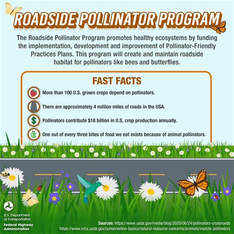 The Roadside Pollinator Federal Highway Administration