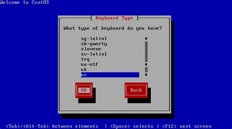 Network Install Of CentOS Under VMWare Cementhorizon Articles
