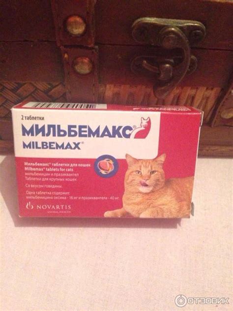 Мильбемакс для кошек - лучшие аналоги препарата