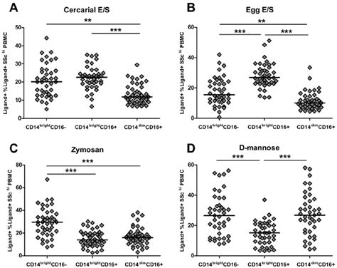 Cd14 Bright Cd16 Intermediate Monocytes Preferentially Bind Cercarial