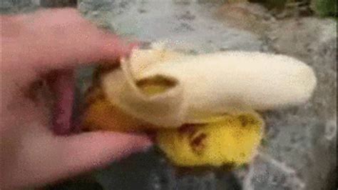 Food Stomp And Spit Compilation Spittnike Clips4sale