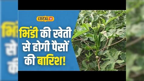 Success Story धान गेहूं नहीं इस सब्‍जी की खेती से किसान की बदली किस्