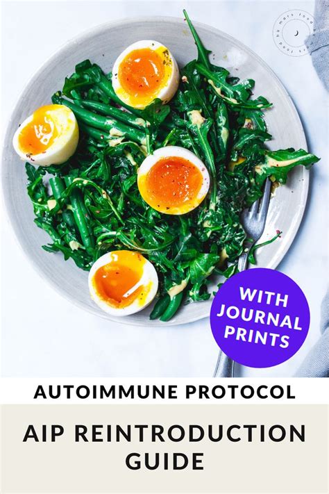 Aip Reintroduction Guide Aip Aip Recipes Autoimmune Protocol Recipes