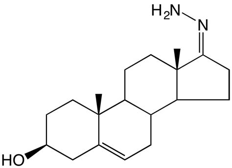 5 ANDROSTEN 3β OL 17 ONE HYDRAZONE Steraloids Inc