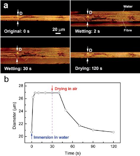 Optical Microscope Images A Of The Mwntcellulose Fiber Cf01