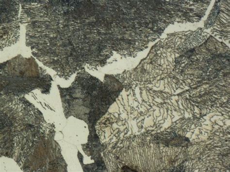 Counter Specimen Microstructure After Normalizing Pearlite Ferrite Download Scientific