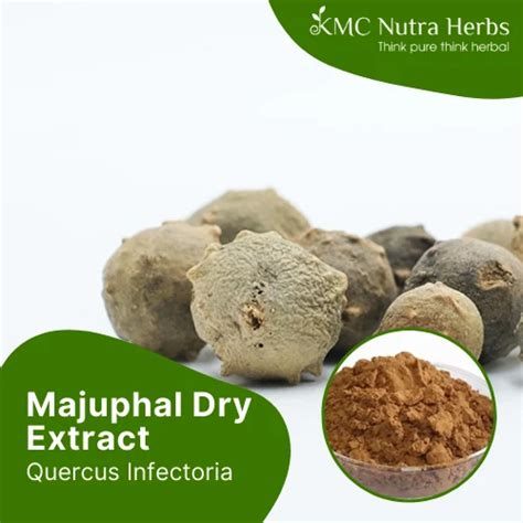 Majuphal Dry Extract Packaging Type Hdpe Drum At Rs 520kg In Corbett