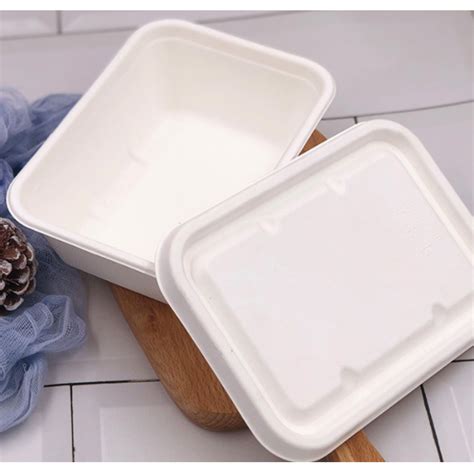 Customized Disposable Sugarcane Pulp Lunch Rec Box For Take Away Wholesale Supplier Factory