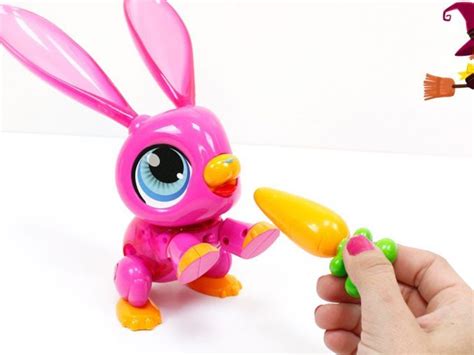 Los mejores consejos para hacer que tu conejo disfrute de sus baños