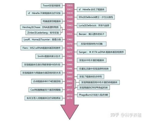 噬菌体治疗是如何发现和发展的？在哪些领域有着极大的应用价值？ 知乎