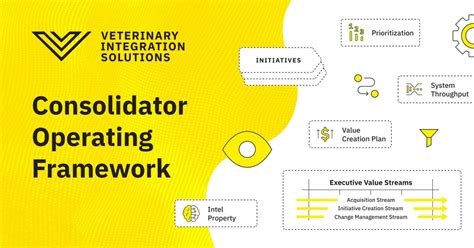 Value Creation Plan Consolidator Operating Framework Value Creation Plan Consolidator Operating Framework