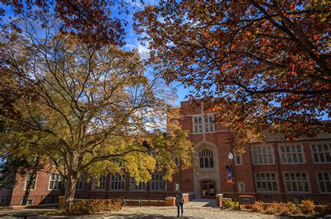 Trees Around Campus News
