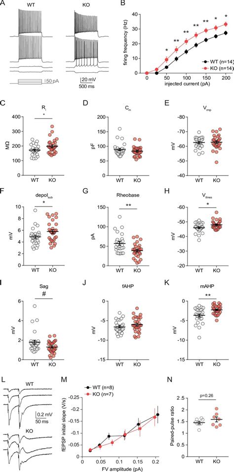 Figures And Data In Paradoxical Neuronal Hyperexcitability In A Mouse Model Of Mitochondrial