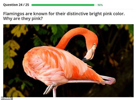 Can You Ace This General Knowledge Test Daily Mail Online