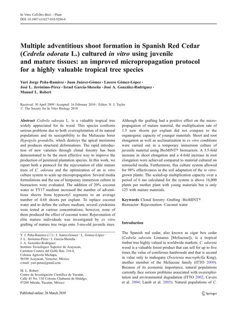 Pdf Multiple Adventitious Shoot Formation In Spanish Red Cedar