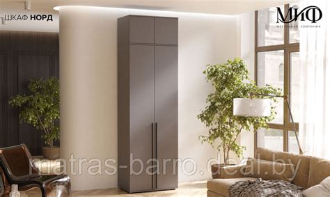 Шкаф 2 х створчатый Норд Миф с антресолью в цвете Графит высота 2 65 м Id 44402960 цена