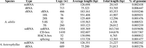 Annotation Of Non Coding Rna Genes In The A Altilis And A