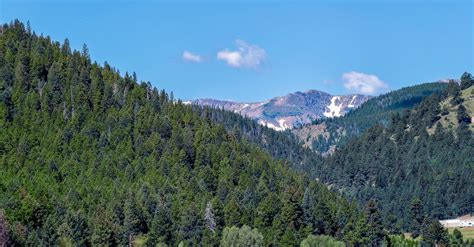 거친 지형 건강한 생태계 경치 경치 좋은 전망 고립된 고요한 골짜기 광야 그림 같은 나무 녹지 눈 덮인 봉우리 땅 때묻지 않은 맑은 하늘 무성한