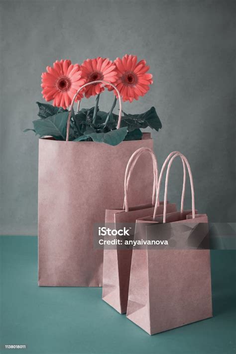 산호 게르 베라 데이지 꽃과 공예 Papper 종이 배경 복사 공간에 쇼핑백 0명에 대한 스톡 사진 및 기타 이미지 0명 3월 4월 Istock