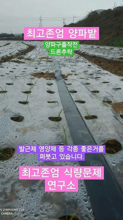 최고존엄 양파밭 Youtube