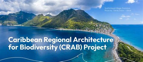 Caribbean Regional Architecture For Biodiversity Crab Fact Sheet Resources Caribbean