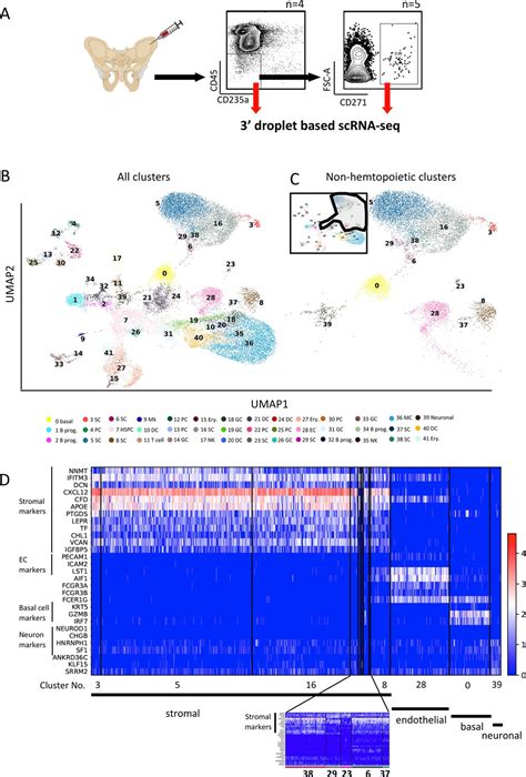Figures And Data In Identification Of Phenotypically Functionally And