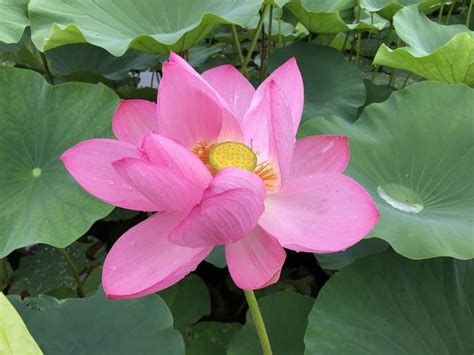 【あるく・シリーズツアー】日帰り現地集合で気軽に楽しめる！ あなたの知らない 多彩な”埼玉”彩発見！ クラブログ ～スタッフブログ～｜クラブツーリズム