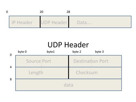 Internet Protocol Formats Ppt Download