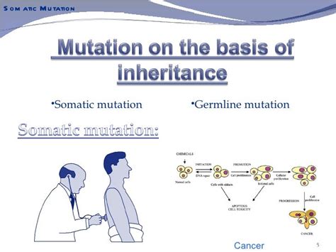 Mutation