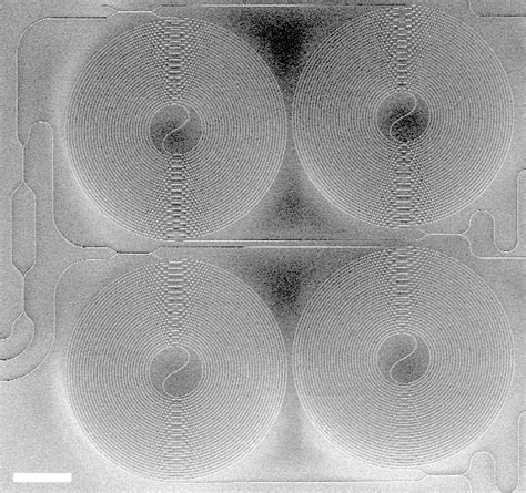5 A Scanning Electron Micrograph Taken During Fabrication Of The Download Scientific Diagram