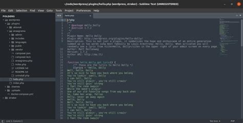 Instalar Sublime Text En Ubuntu Lts Lariat Systems